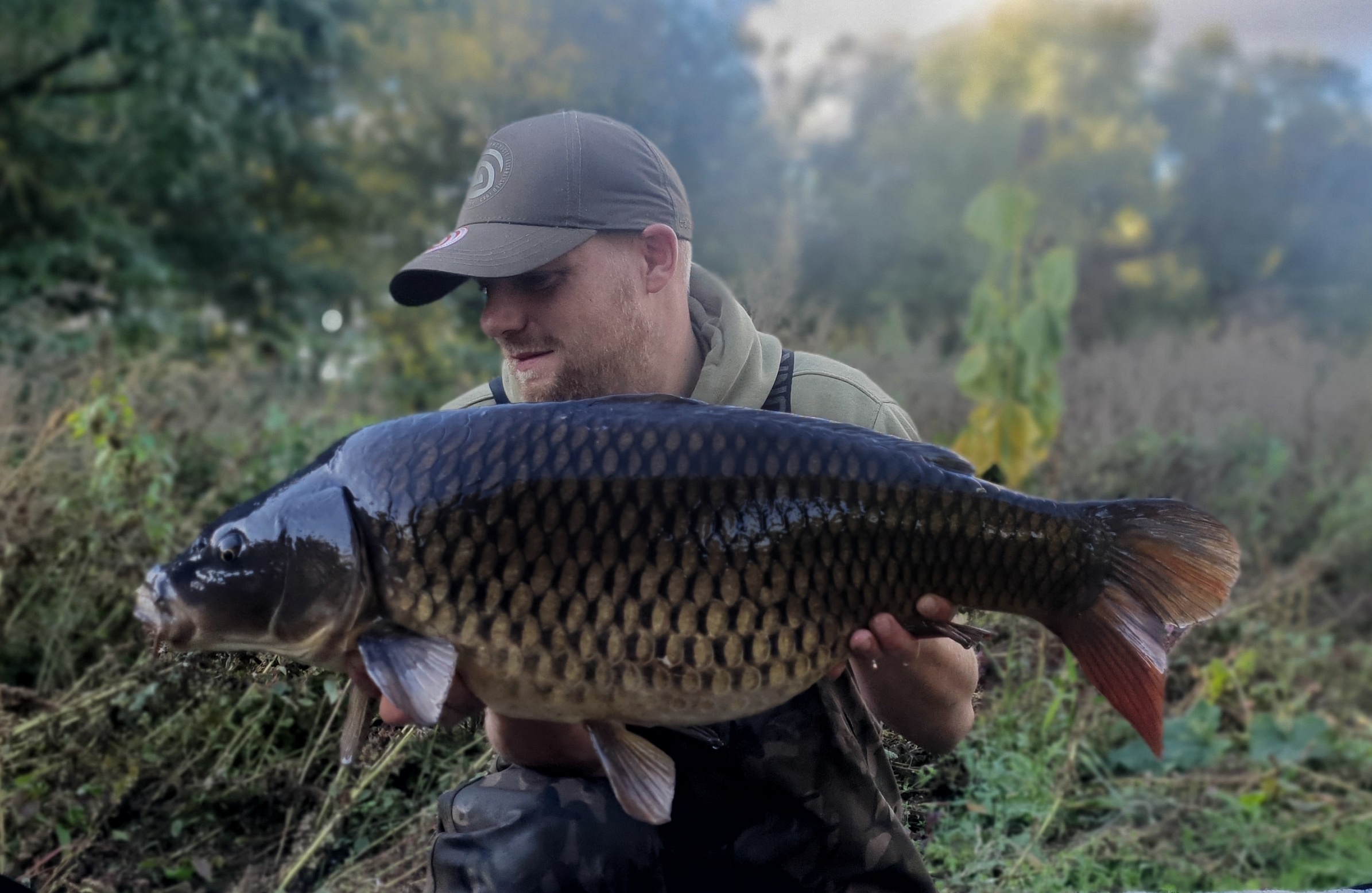 That dark common | Total Carp